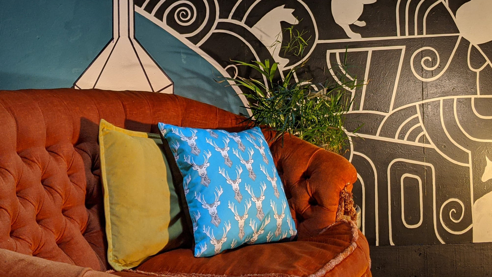 Introducing 'The Mermaid' - Exeter Phoenix