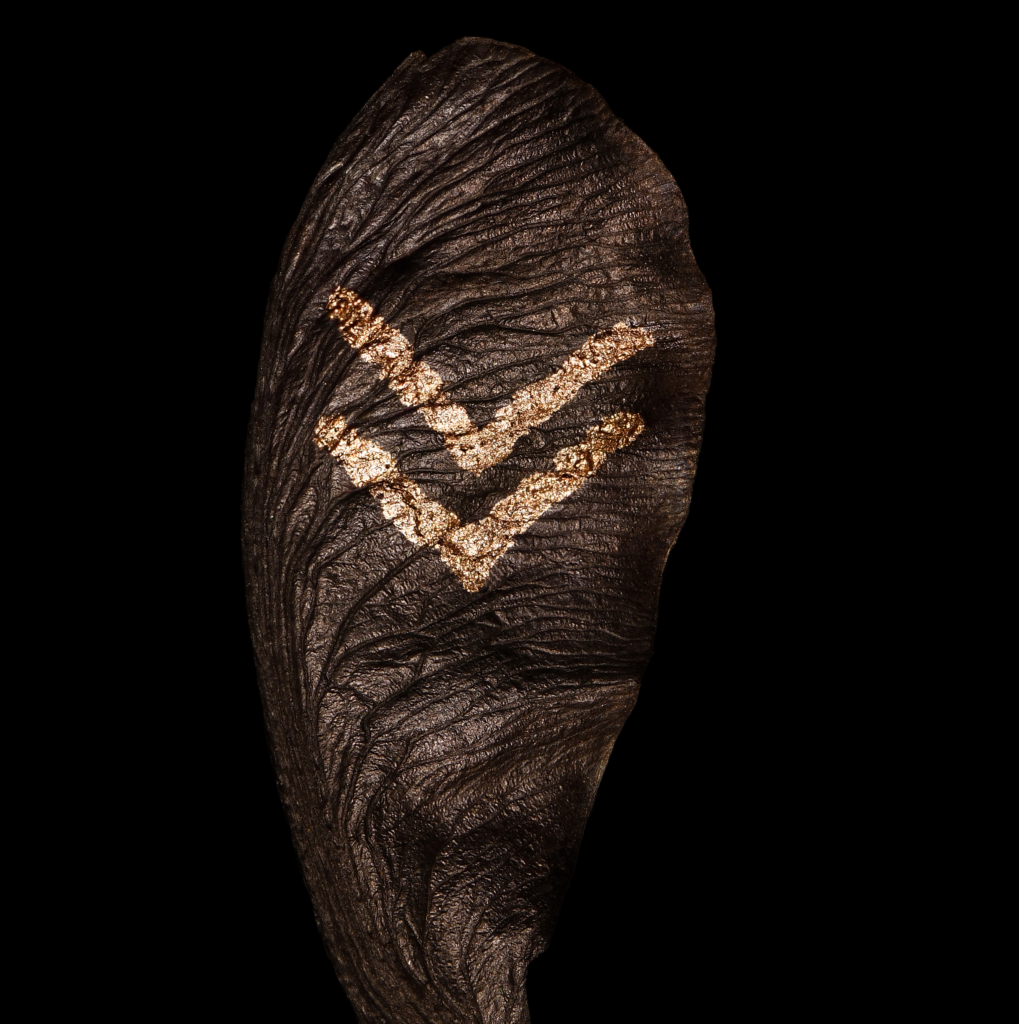 JON ENGLAND - Exeter Phoenix