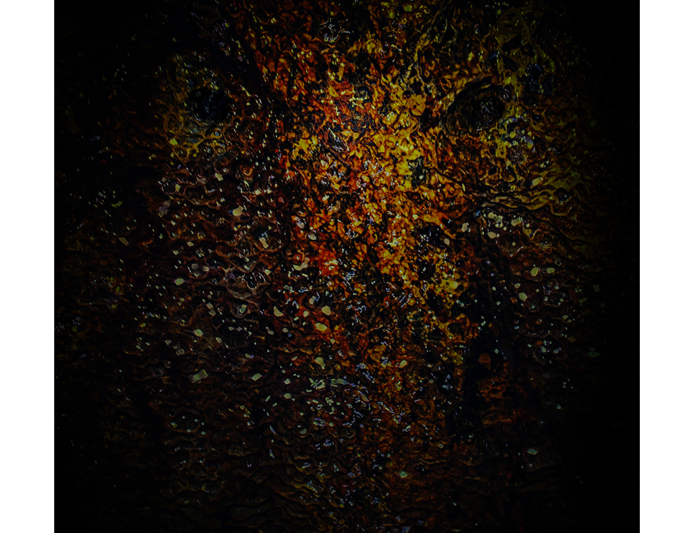 Art – Exhibitions And Galleries At Exeter Phoenix