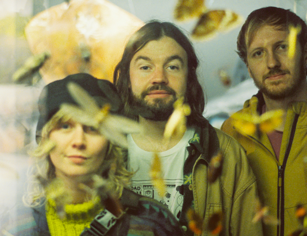 Music - Page 4 of 4 - Exeter Phoenix