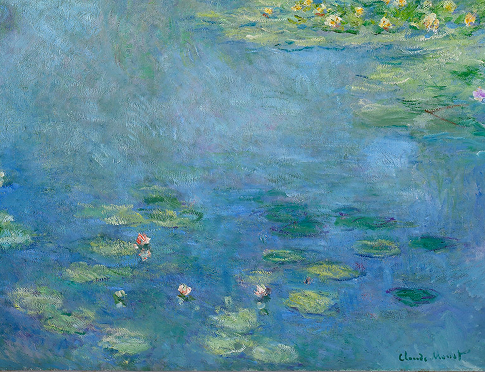 Art – Exhibitions And Galleries At Exeter Phoenix